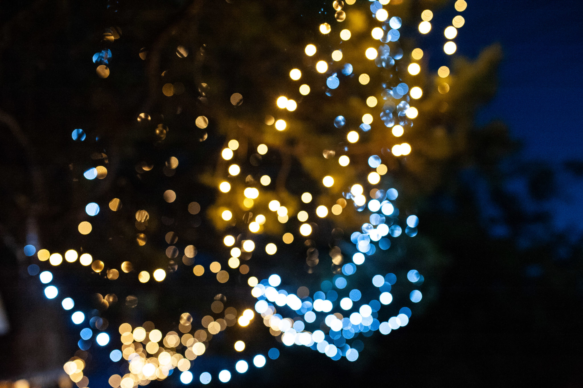 Loving Tree - The Mary Potter Foundation Inc